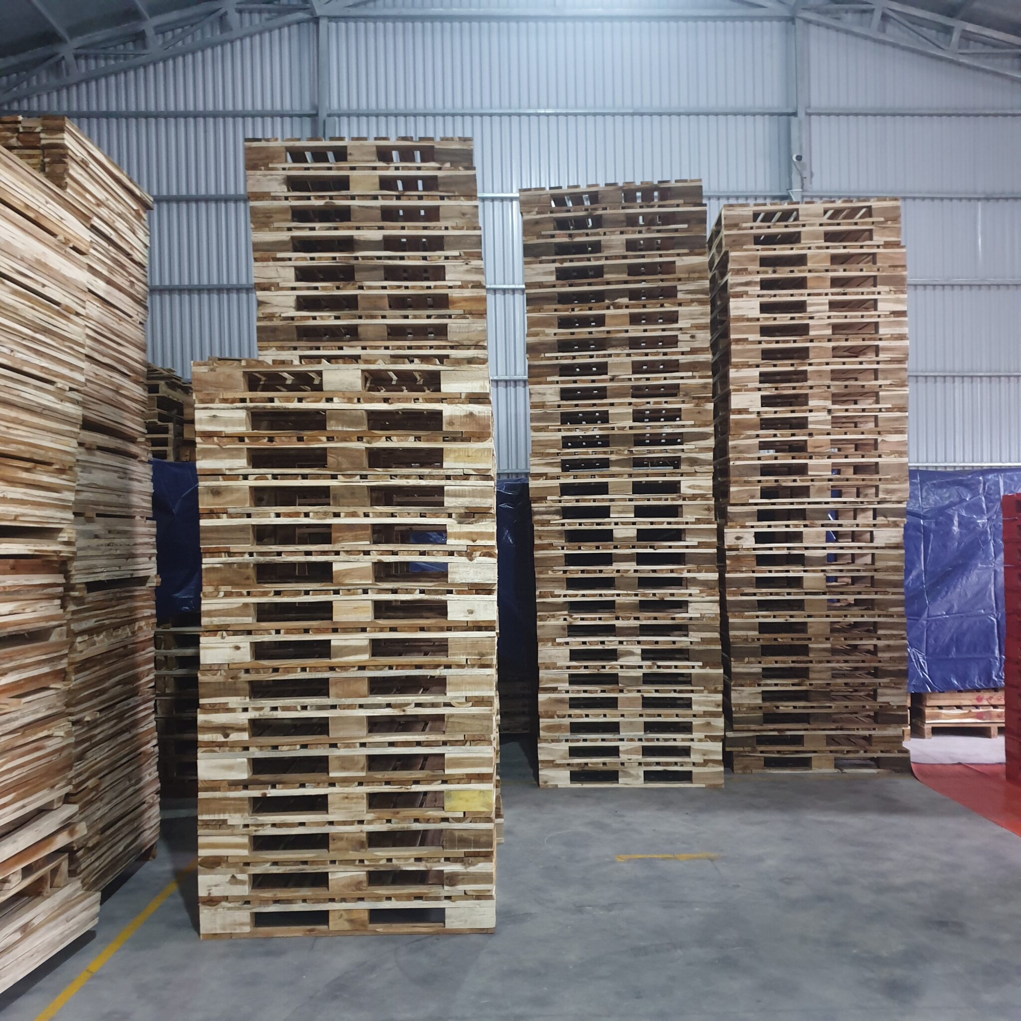 Pallet gỗ - chuyên sản xuất và bán các loại pallet gỗ